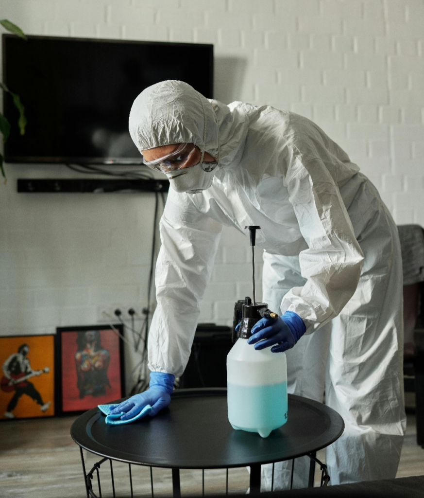 Are Flies Getting in Your House? Here's Why Fly Control Is Important ...